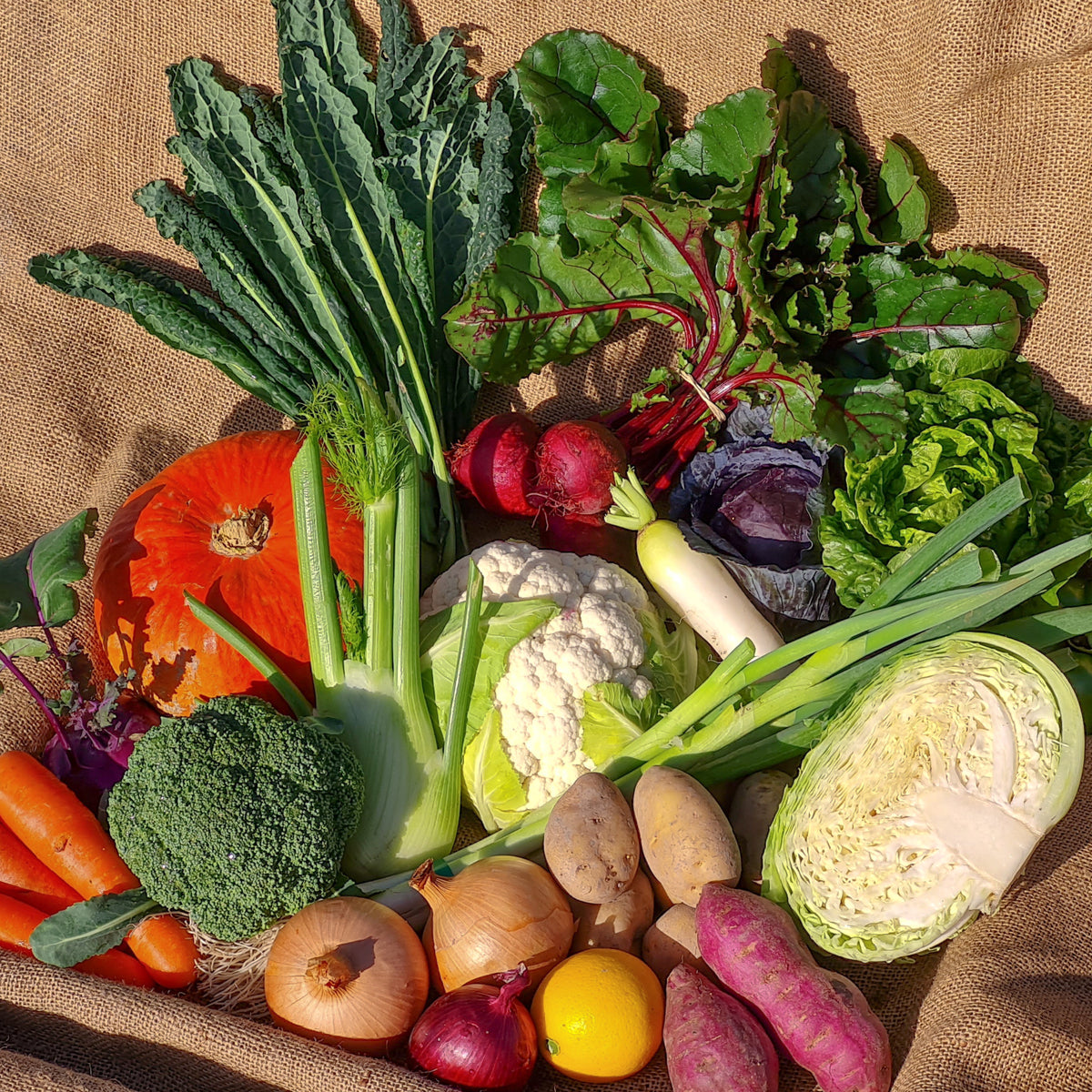 Classic Vege only Box – The Tasty Vege Co.