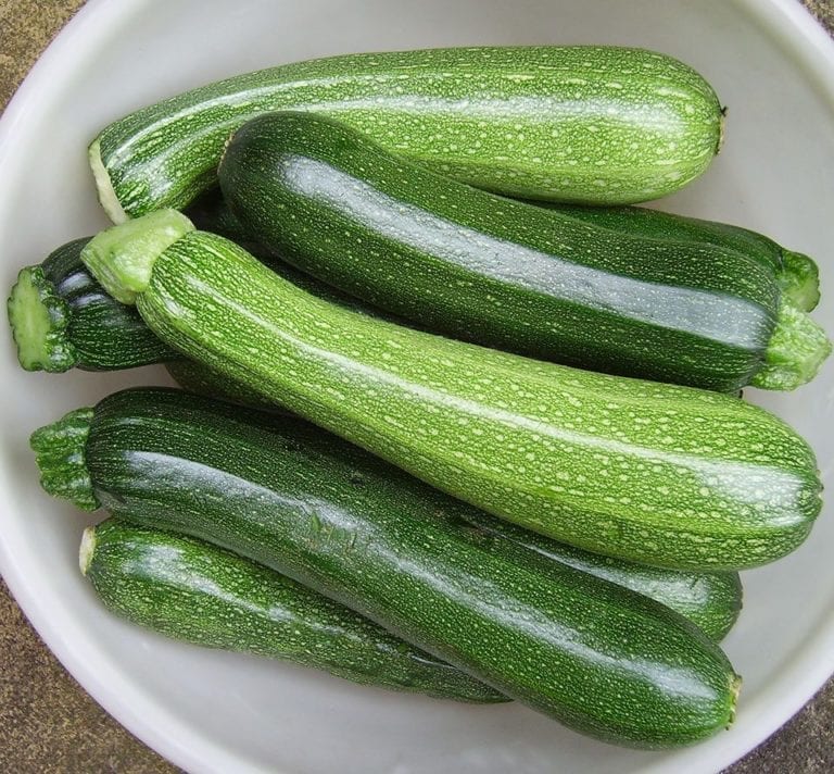 Courgettes -1kg – The Tasty Vege Co.